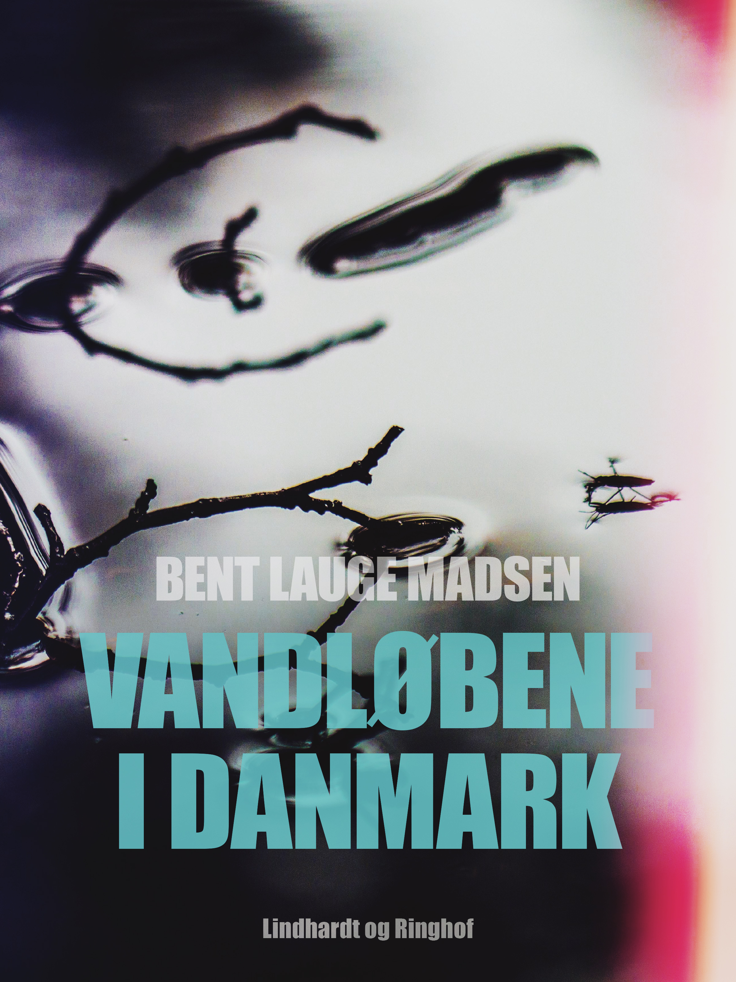 Vandløbene i Danmark - eBook by Bent Lauge Madsen - Sesamy
